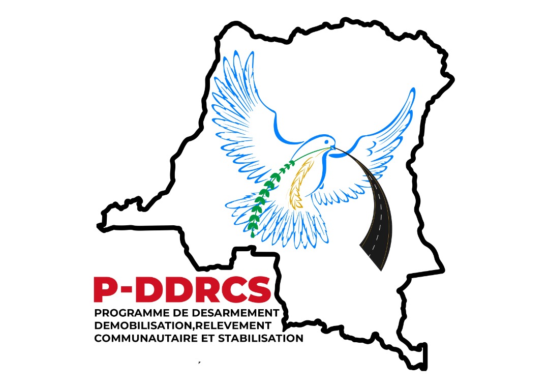 PRESENTATION DU PLAN OPERATIONNEL NATIONAL DU P-DDRCS | PDDRCS